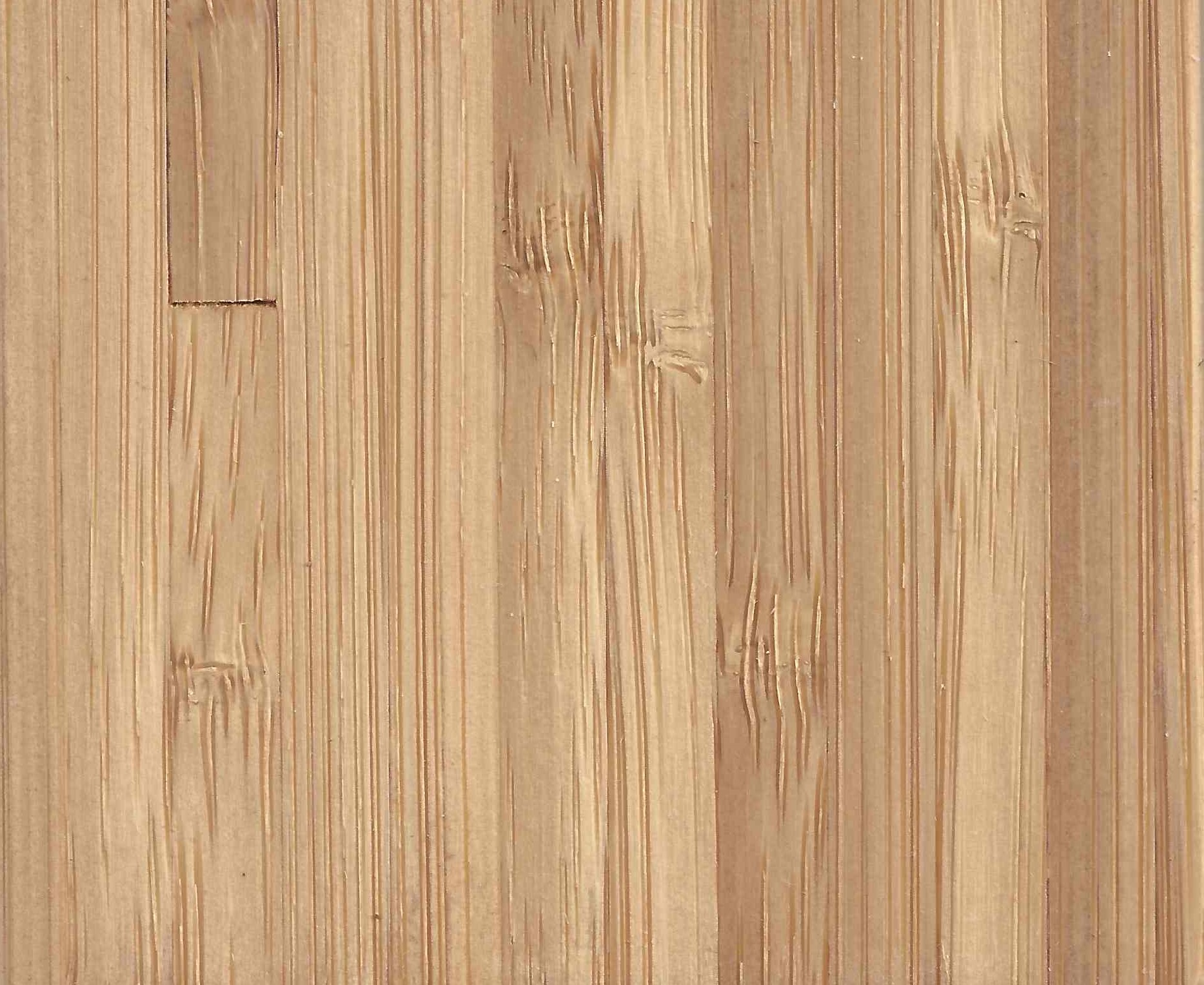 Bamboo Slat Wall Panels| Premium Acoustic Solutions